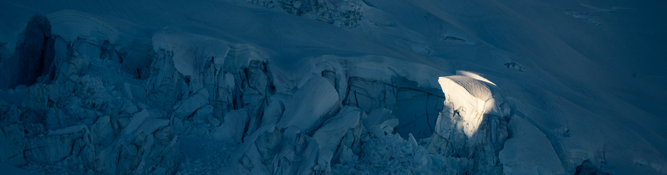 About Us: Board of Directors - Earth Creative